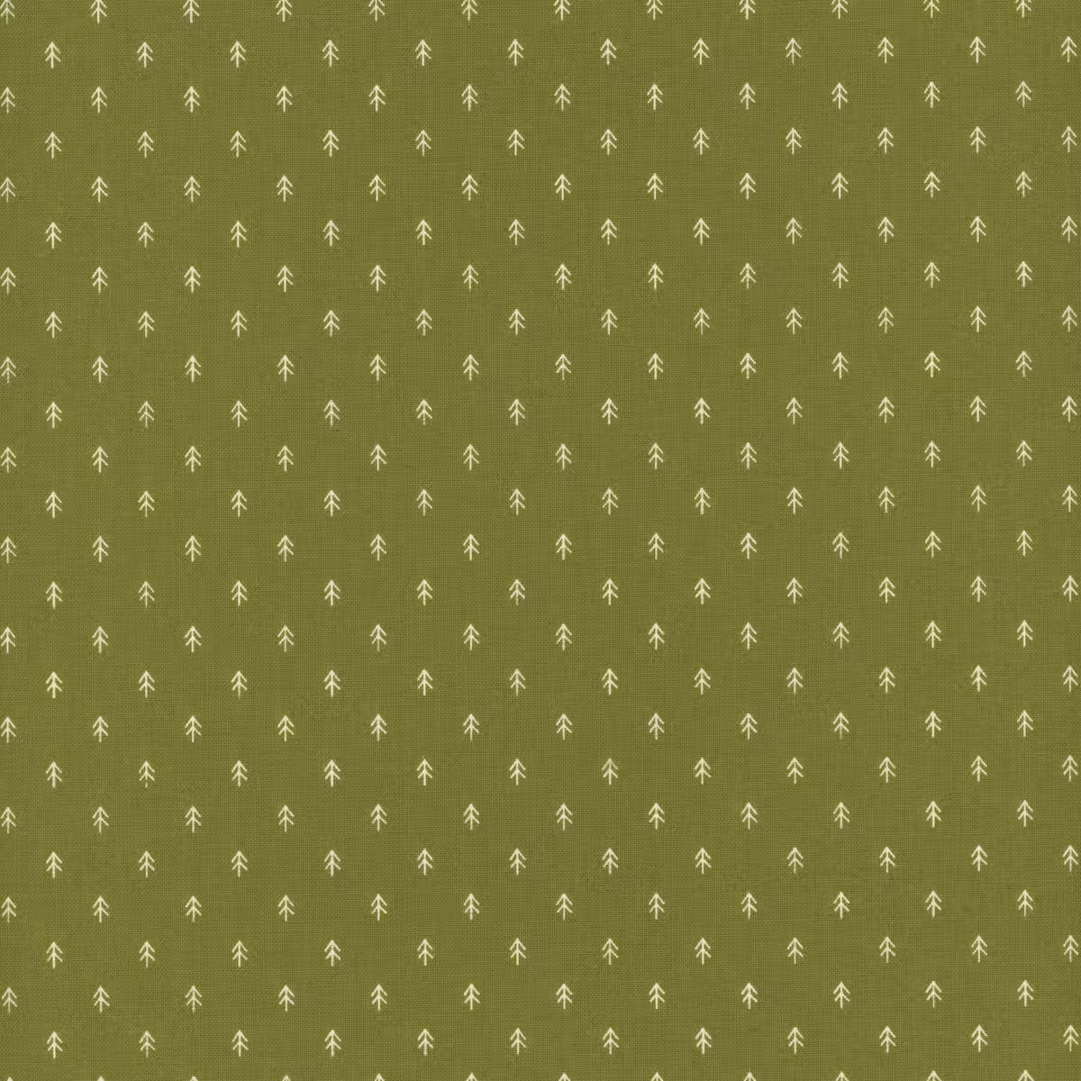 MODA On Dasher Fabric – World Weidner