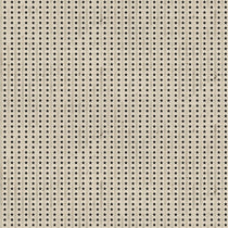 Fabric Riley Blake Neutral Star Stripes Northern Christmas by the Quar ...