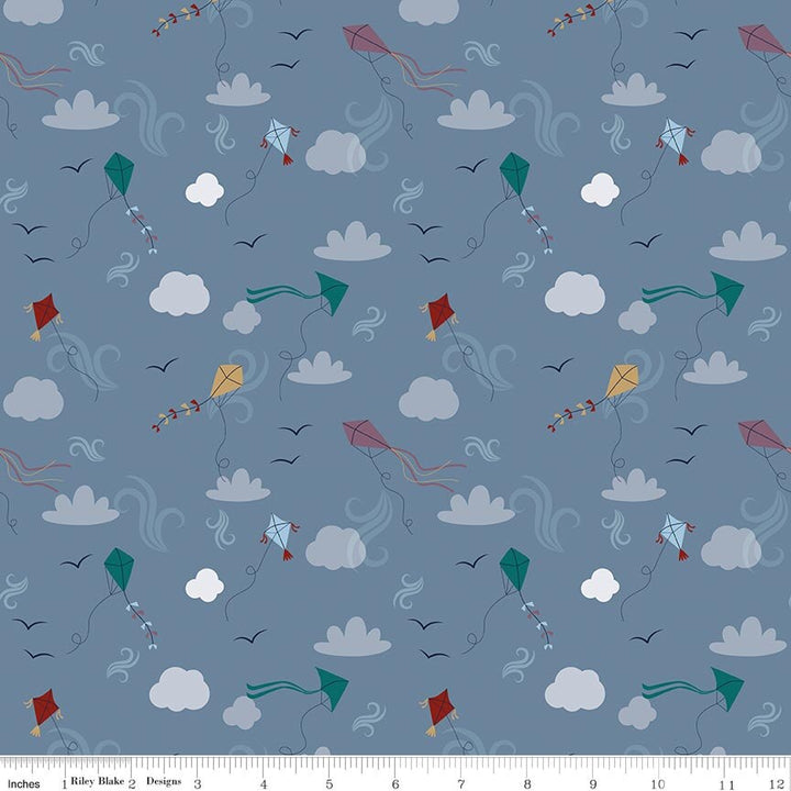 Fabric Riley Blake Storm Let's Go Fly a Kite A Spoonful of Sugar by th ...